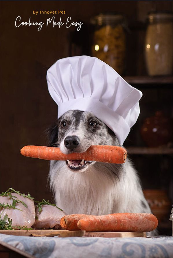 chef-paw-frontend